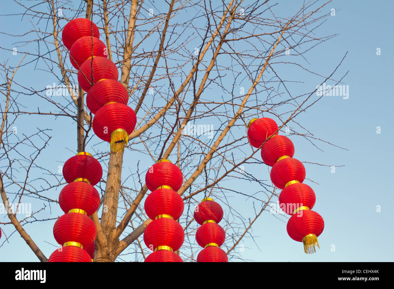 Lots of lanterns on the tree Stock Photo - Alamy