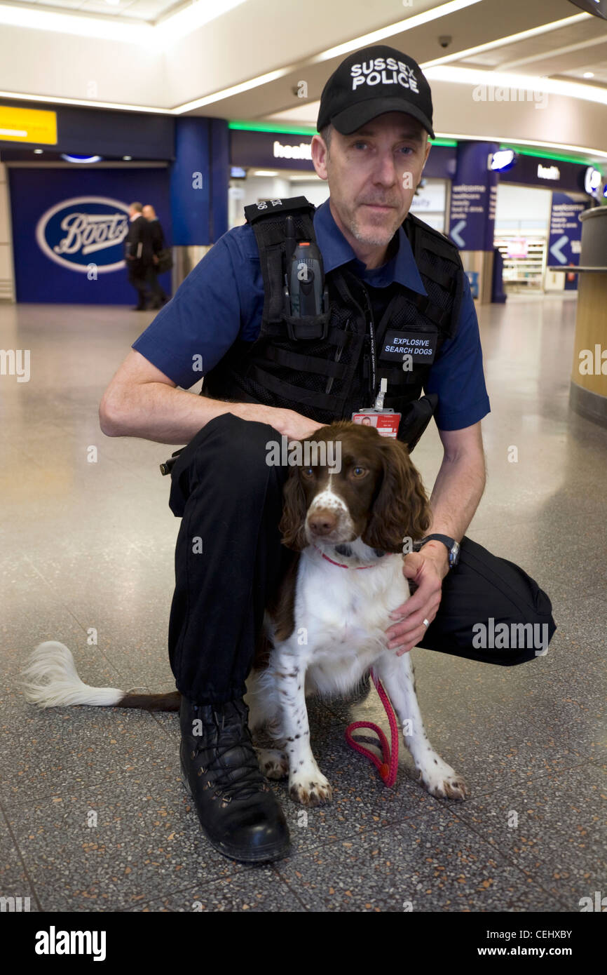 Police officer / policeman / police man with sniffer dog (drug / drugs ...