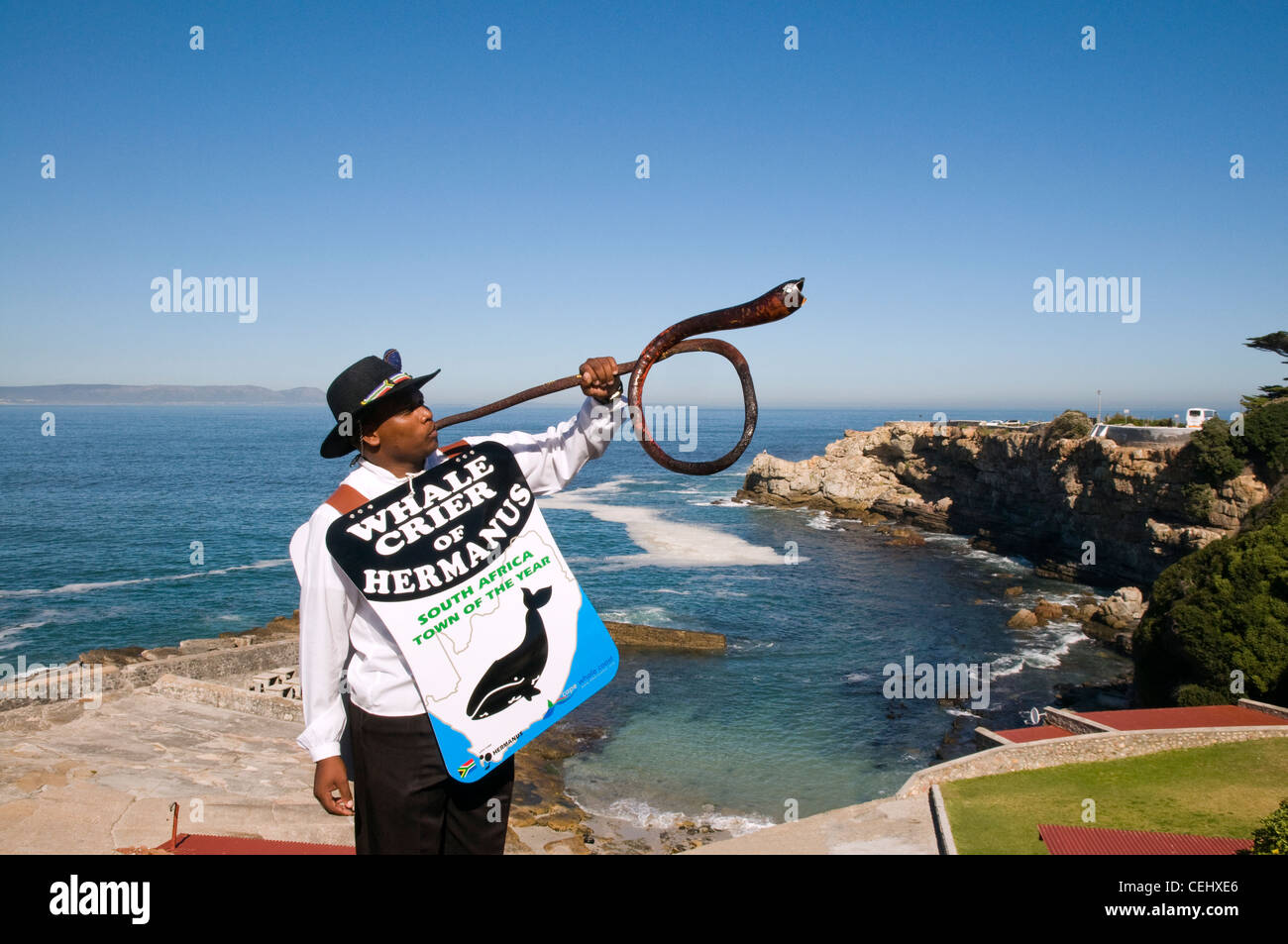 Whale Crier,Hermanus,Western Cape Province Stock Photo - Alamy