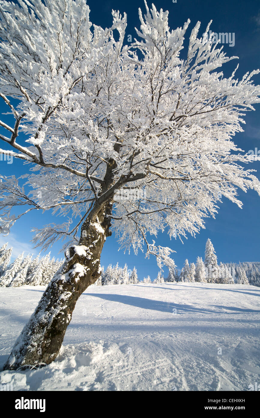 Postavaru hi-res stock photography and images - Alamy