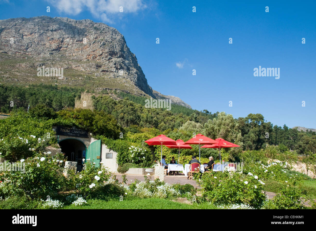Sabrage Champagne,opening a champagne bottle with a sabre,Cape Wine ...