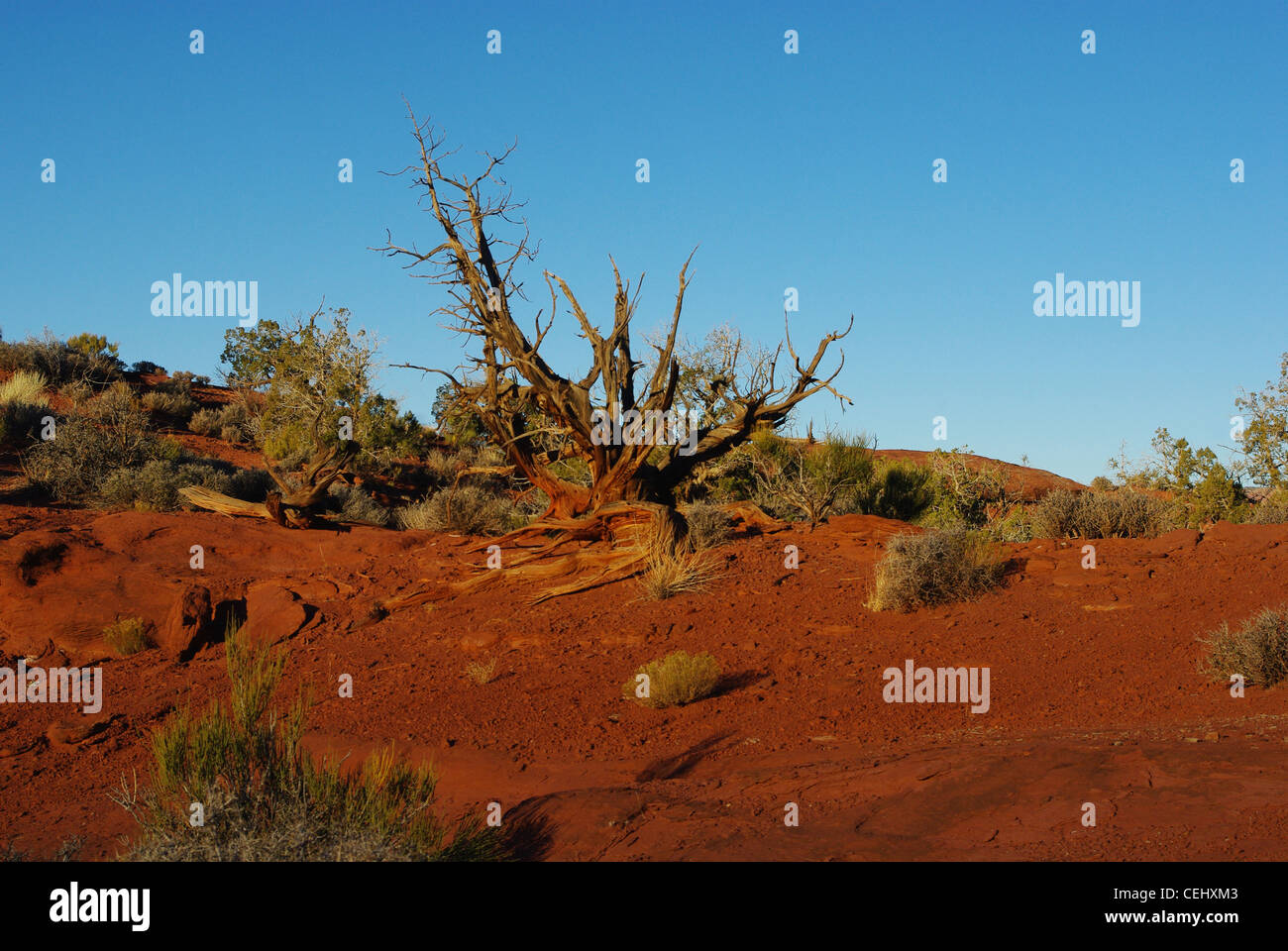Rock towers at sand hi-res stock photography and images - Alamy