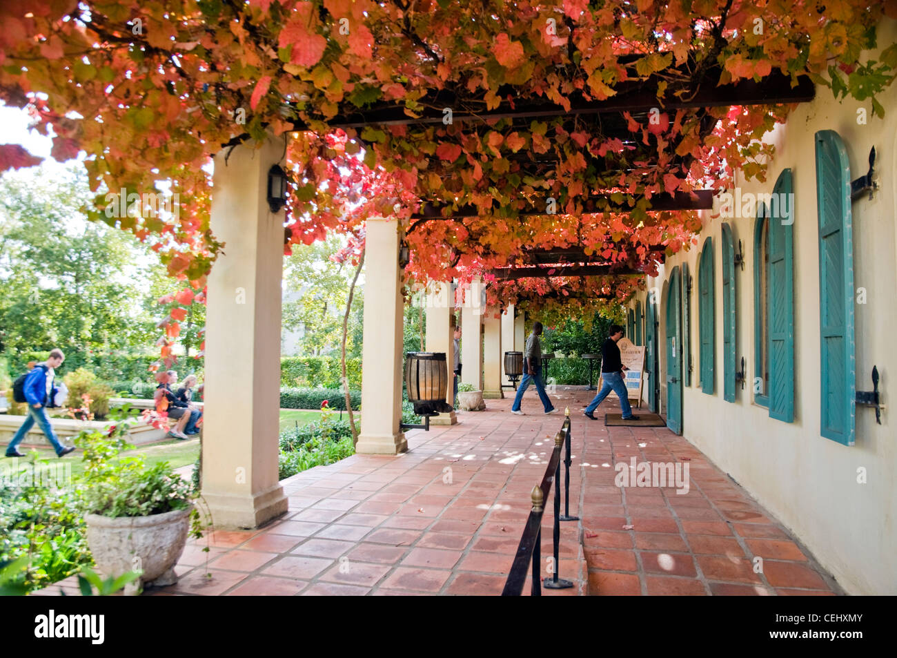Fairview Wine Estate,Paarl,Cape Wine Route,Western Cape Province Stock ...