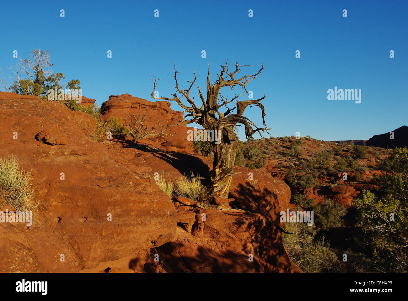 Red sand towers hi-res stock photography and images - Alamy