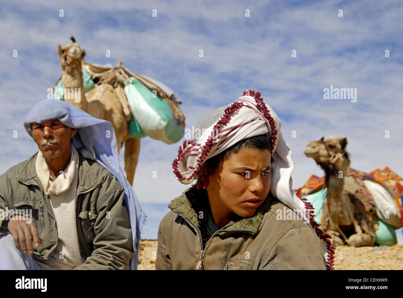 Desert nomad sinai egypt landscape hi-res stock photography and images ...
