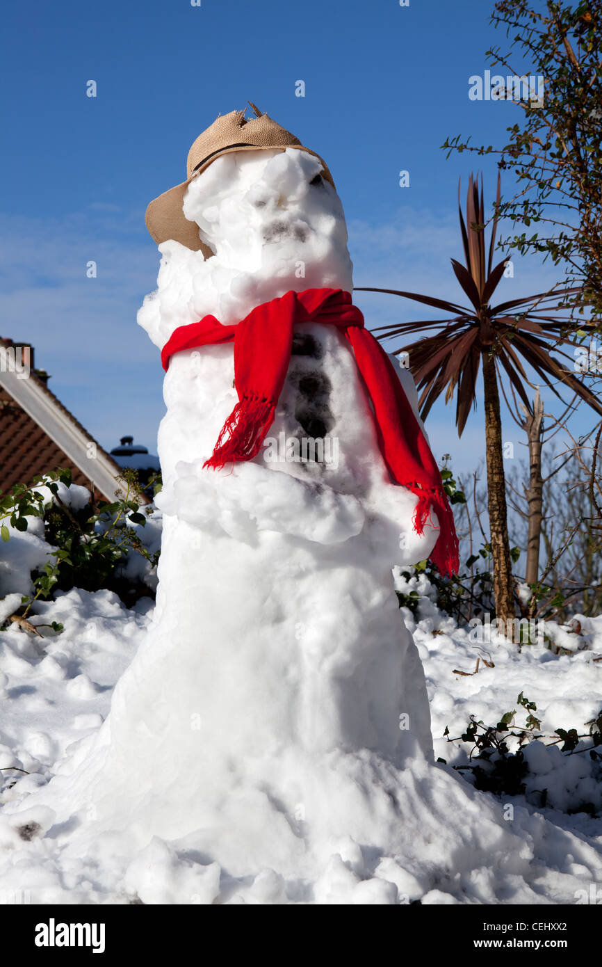 Palm tree snowman hi-res stock photography and images - Alamy