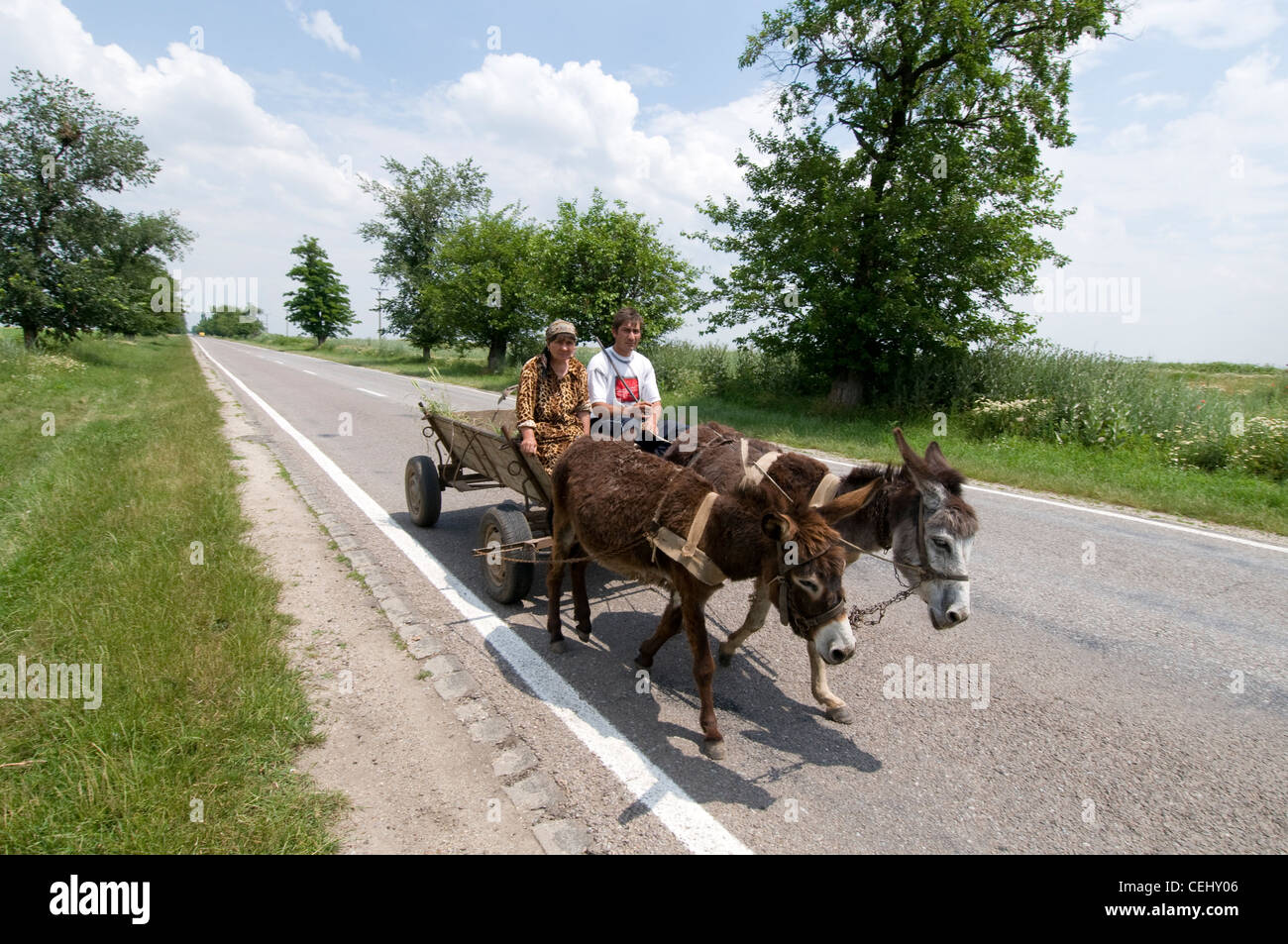 Donkeys and carriage, Romania, Horse and carriage, Romania Stock Photo ...