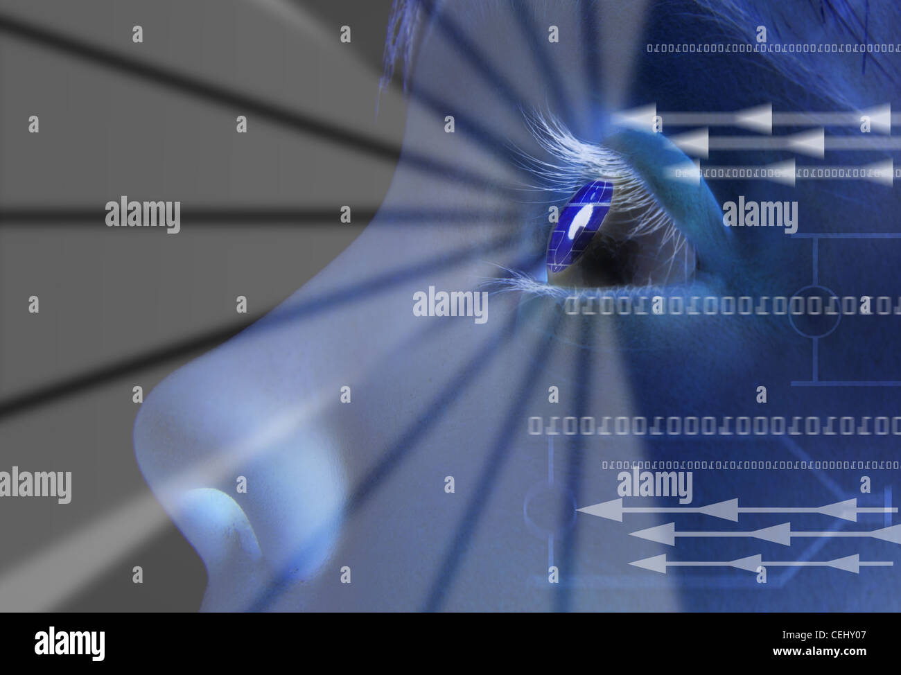 Iris scan, biometric scanning of eye retina for identification. Close ...