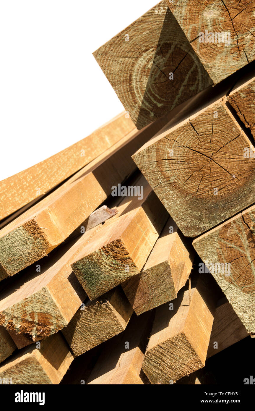 Pine wood logs Stock Photo - Alamy