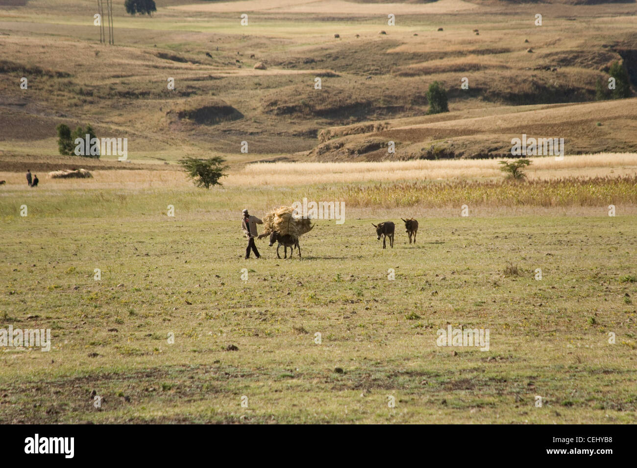 Addis ababa ethiopia countryside hi-res stock photography and images ...