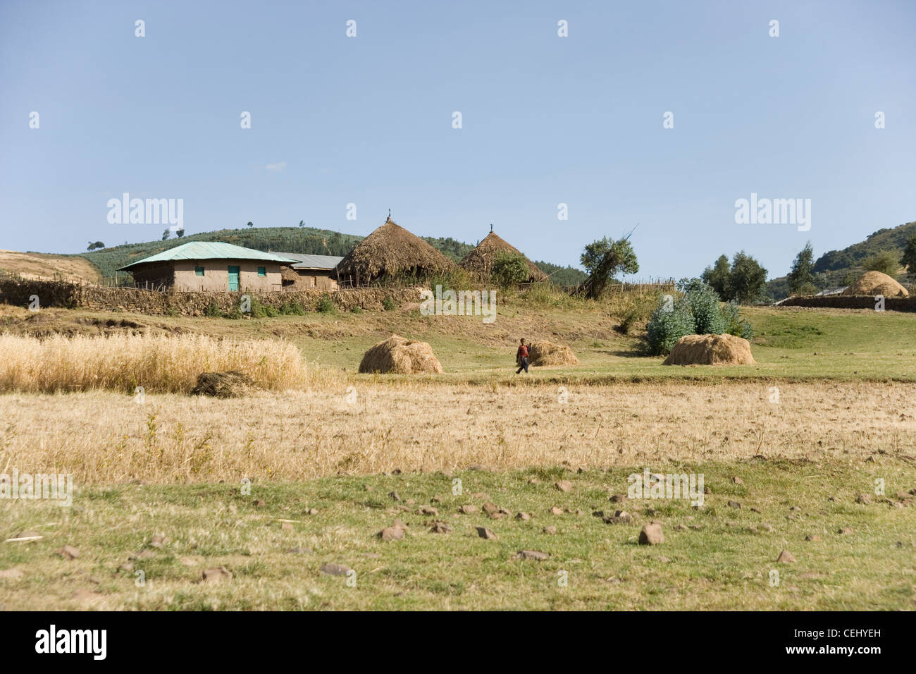 Addis ababa ethiopia countryside hi-res stock photography and images ...
