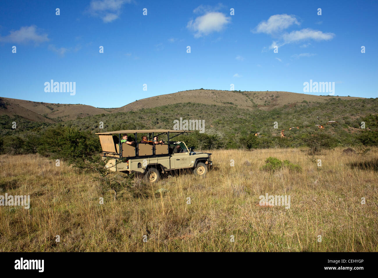 Game Drive at Addo Elephant Park,Eastern Cape Stock Photo - Alamy