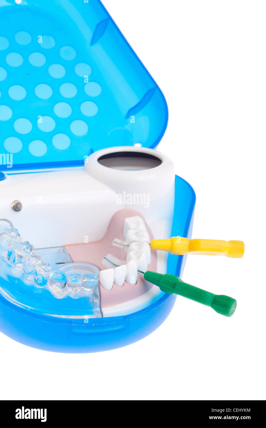 Teeth cleaning model hi-res stock photography and images - Alamy