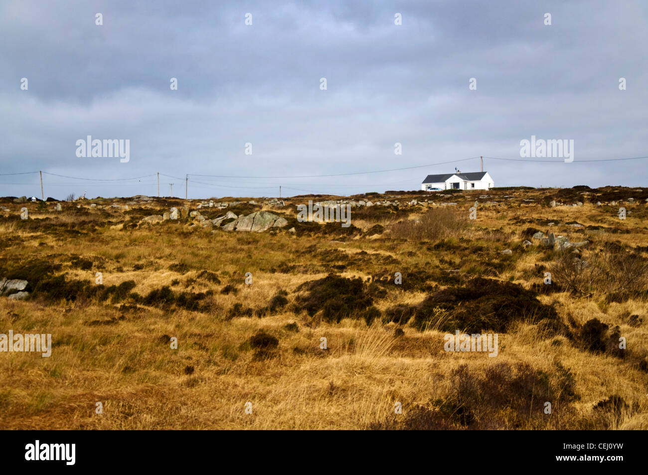 House home on the bog in rural Ireland Stock Photo - Alamy
