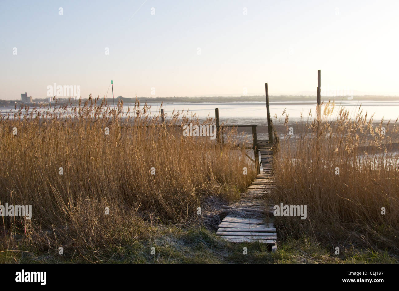 Lydney docks severn estuary hi-res stock photography and images - Alamy