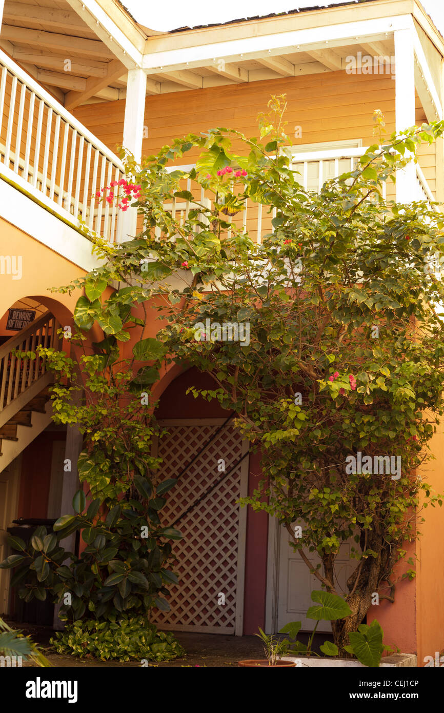Tropical plants in a typical florian courtyard property hi-res stock ...