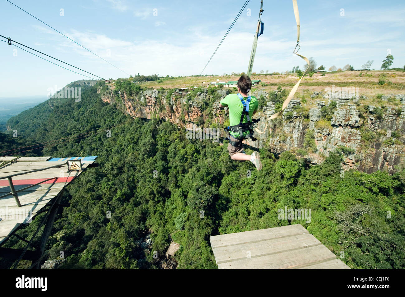 Tourist taking jump,Big Swing,Graskop Gorge,Mpumalanga Stock Photo - Alamy