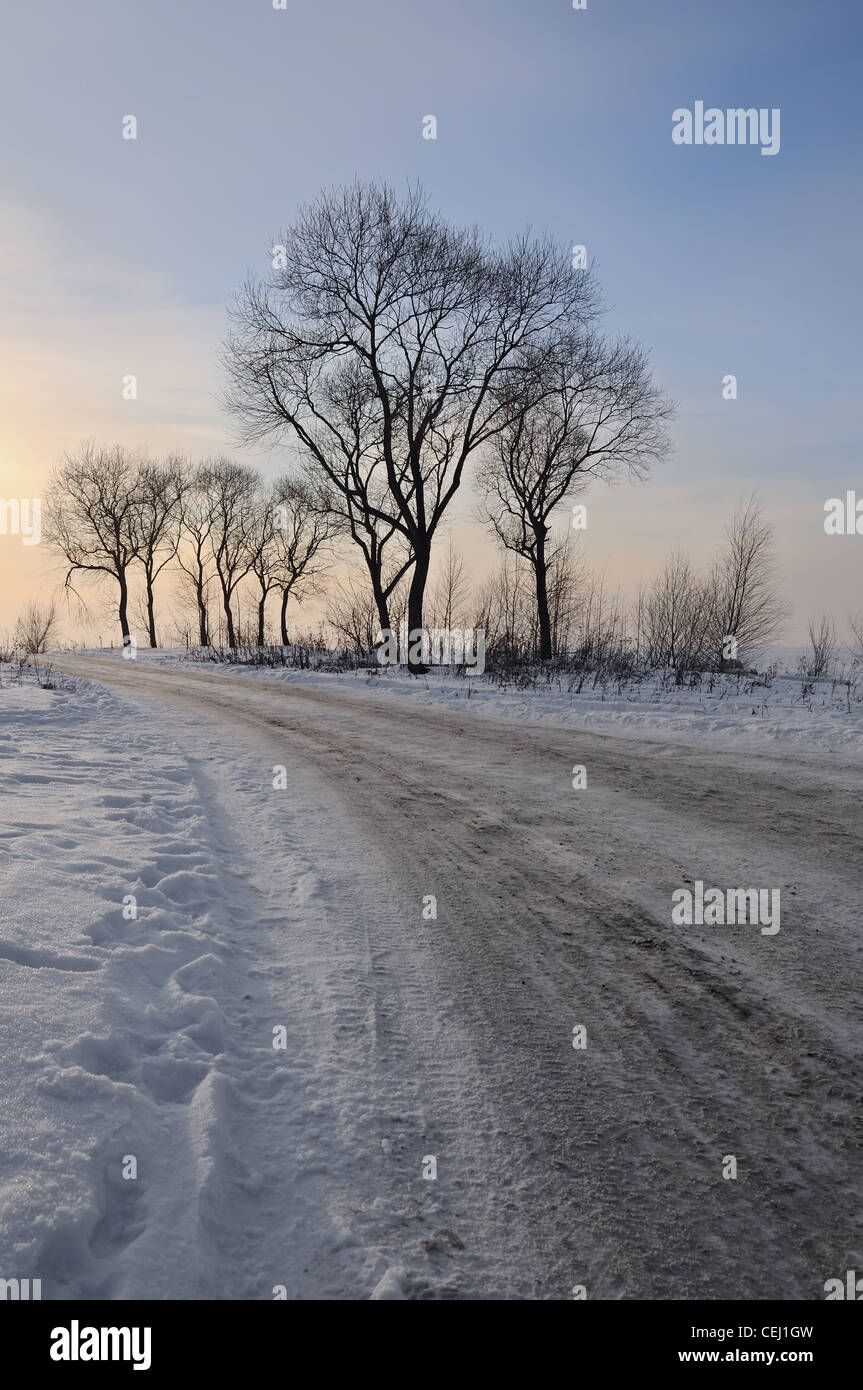 Russia: Winter road Stock Photo - Alamy