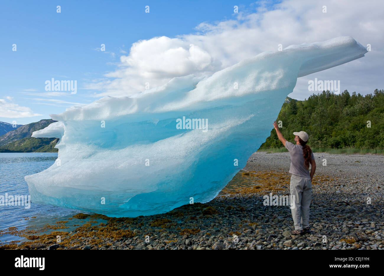 Man on iceberg hi-res stock photography and images - Alamy