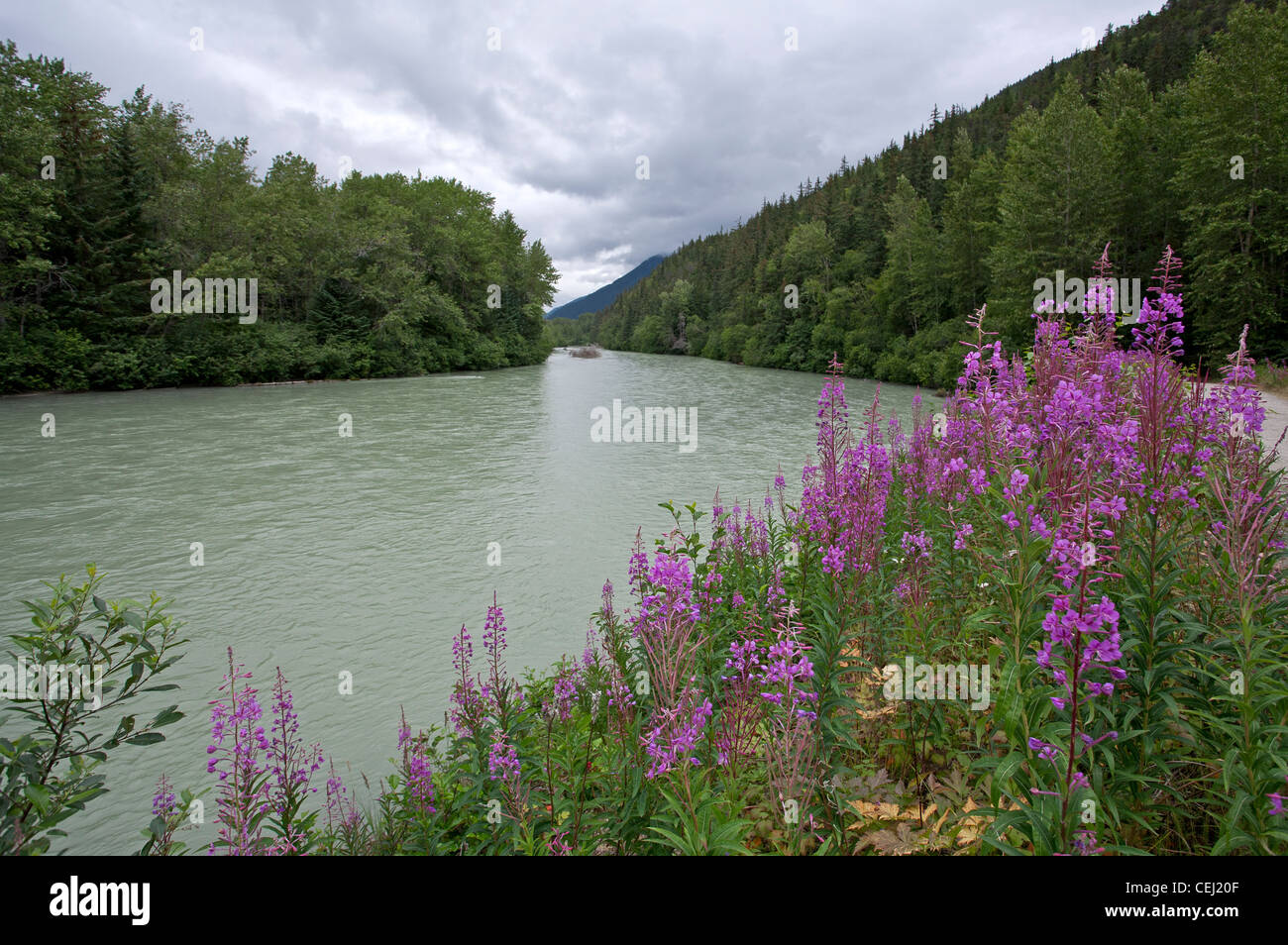 Taiya river hi-res stock photography and images - Alamy