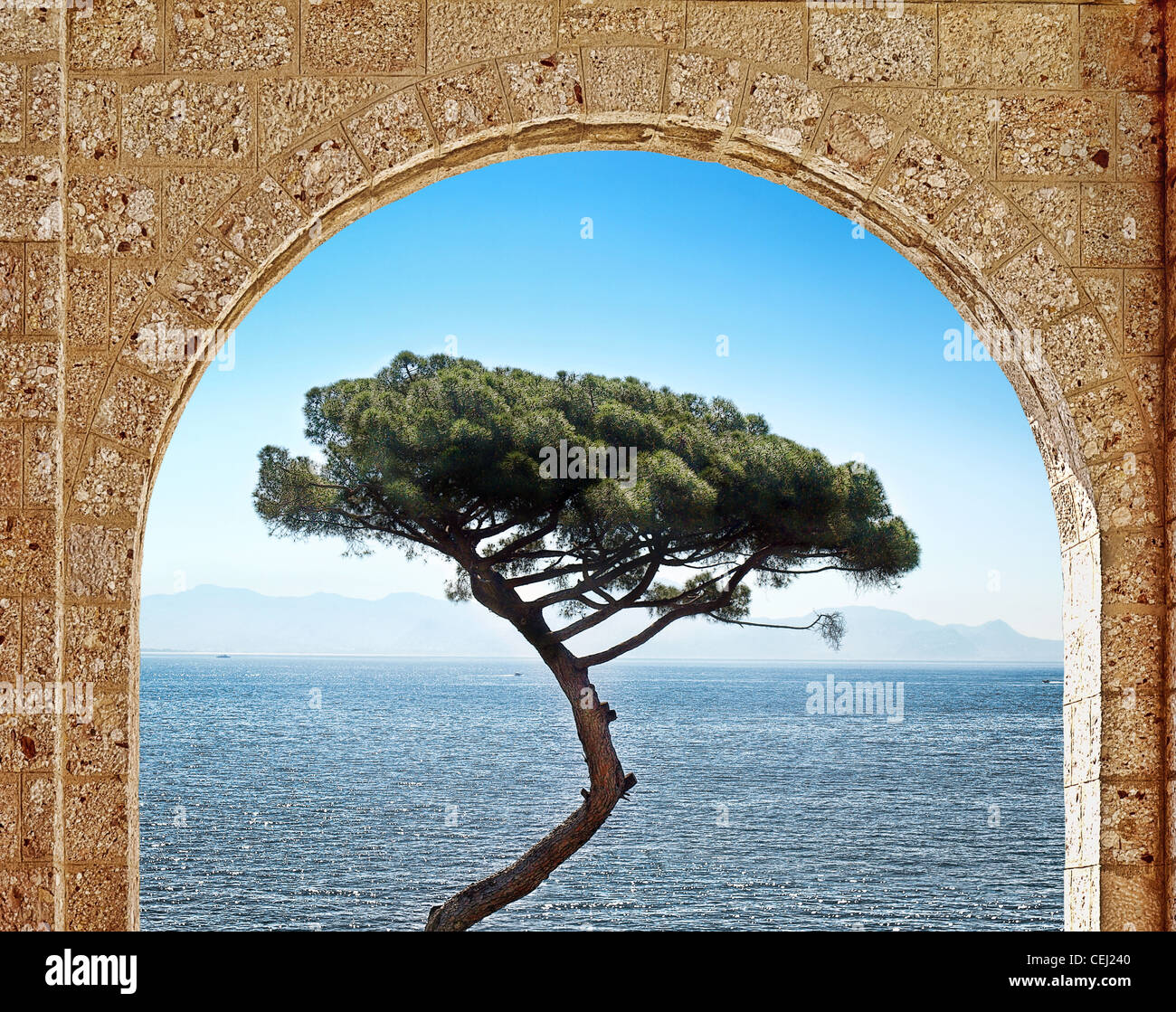 Stone arch and tree Stock Photo - Alamy