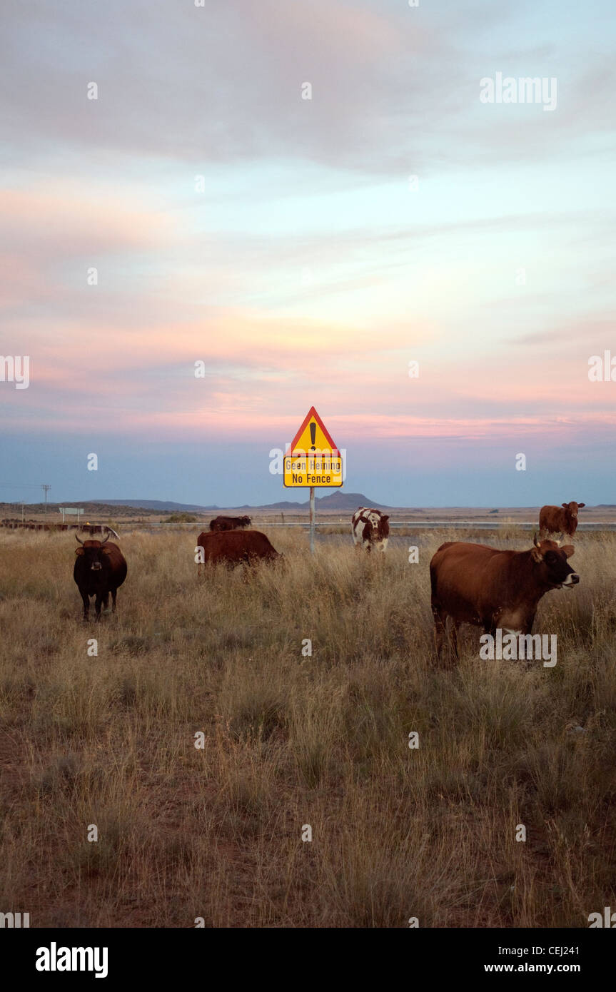 Cow road signs hi-res stock photography and images - Alamy