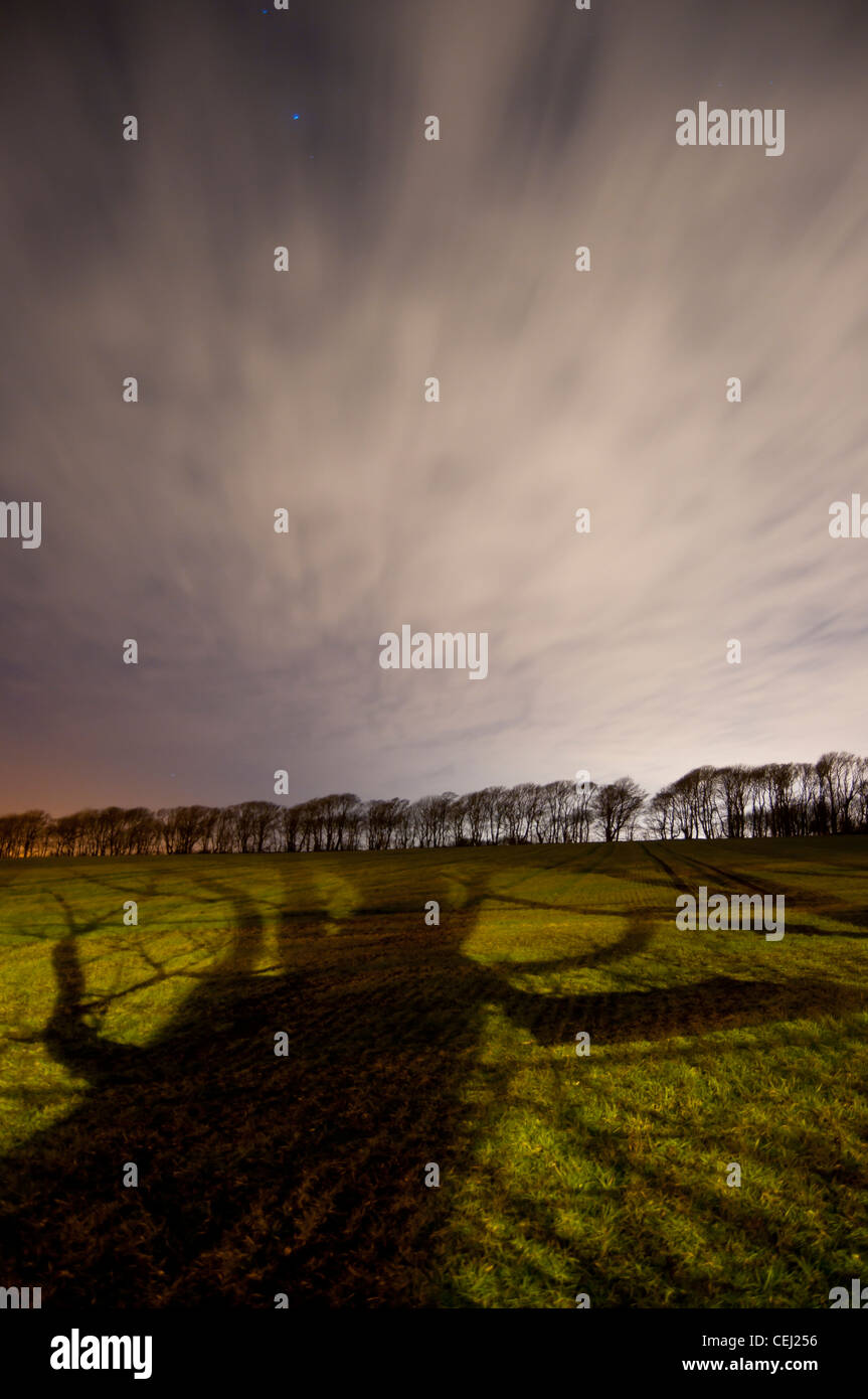 The shadow of a leafless tree casts across a field at night Stock Photo ...