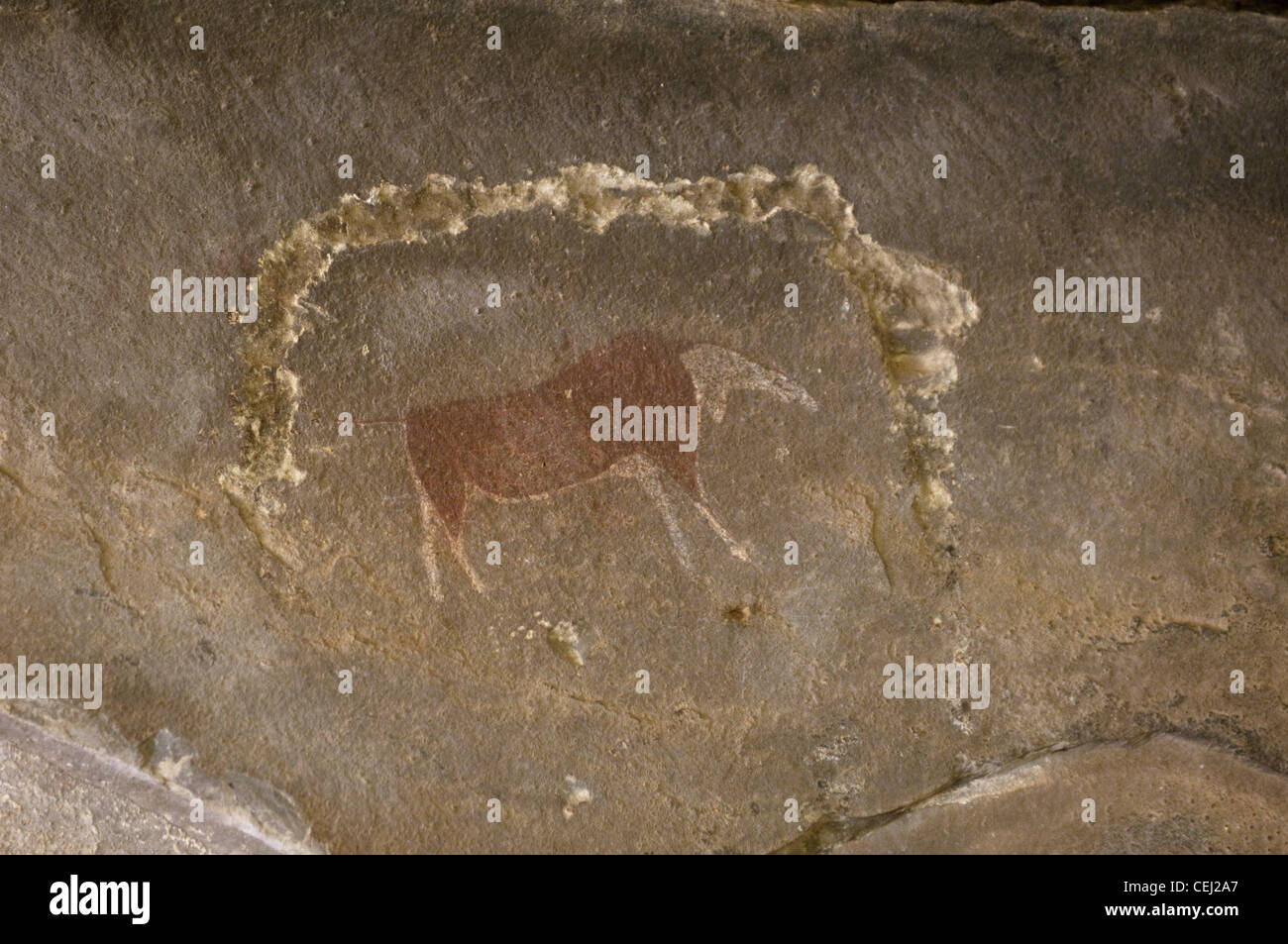 Bushman drawings hi-res stock photography and images - Alamy