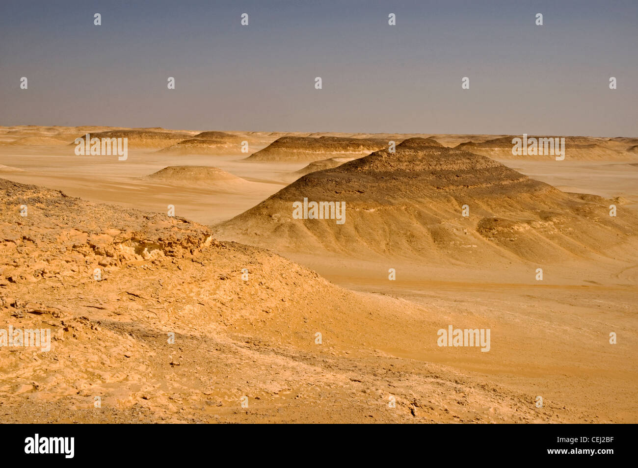 NORTH AFRICA, EGYPT, Siwa Oasis, Qattara Depression, desert scene with ...
