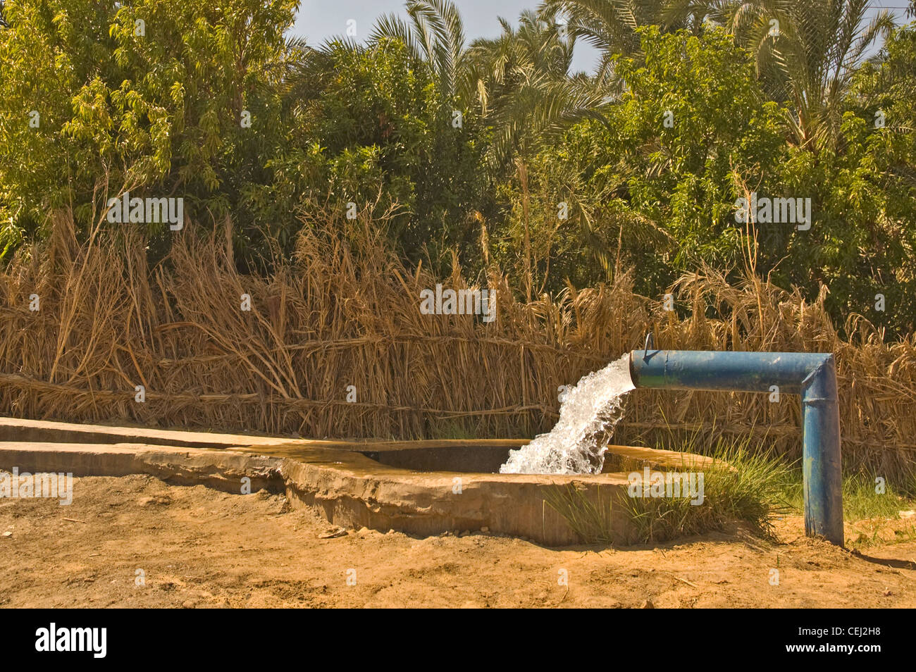 Irrigation Canal Egypt High Resolution Stock Photography and Images - Alamy