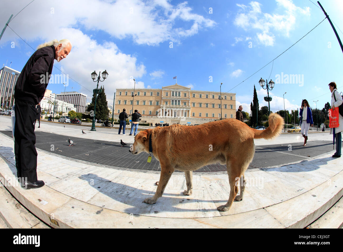 Loukanikos greek riot dog hi-res stock photography and images - Alamy