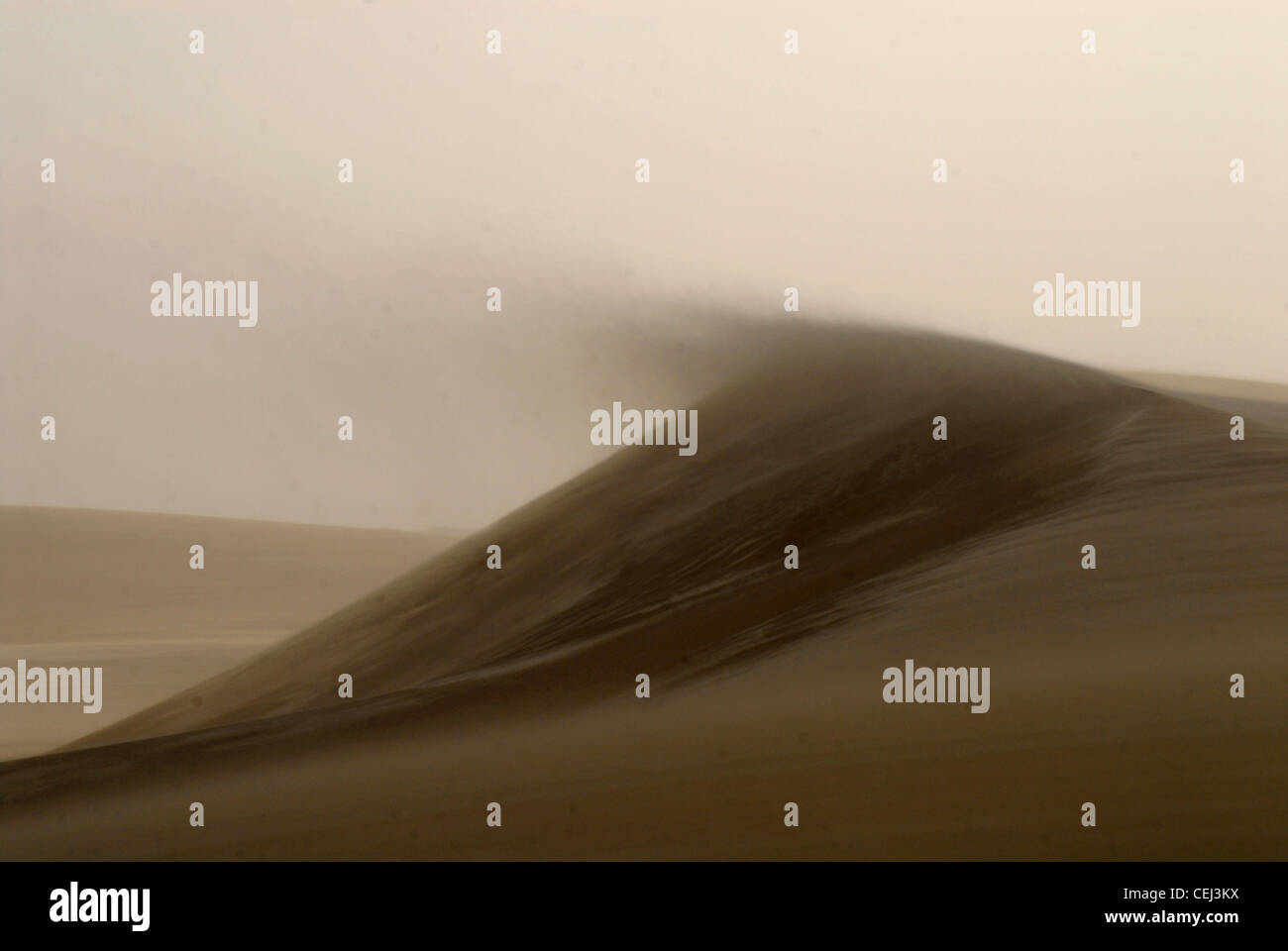 Sand storm in the Western desert Stock Photo - Alamy