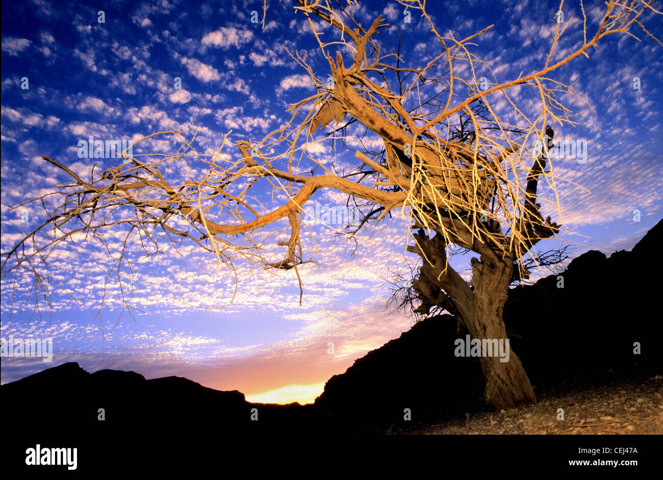 Negev desert. Eilat Mts, Israel Stock Photo - Alamy