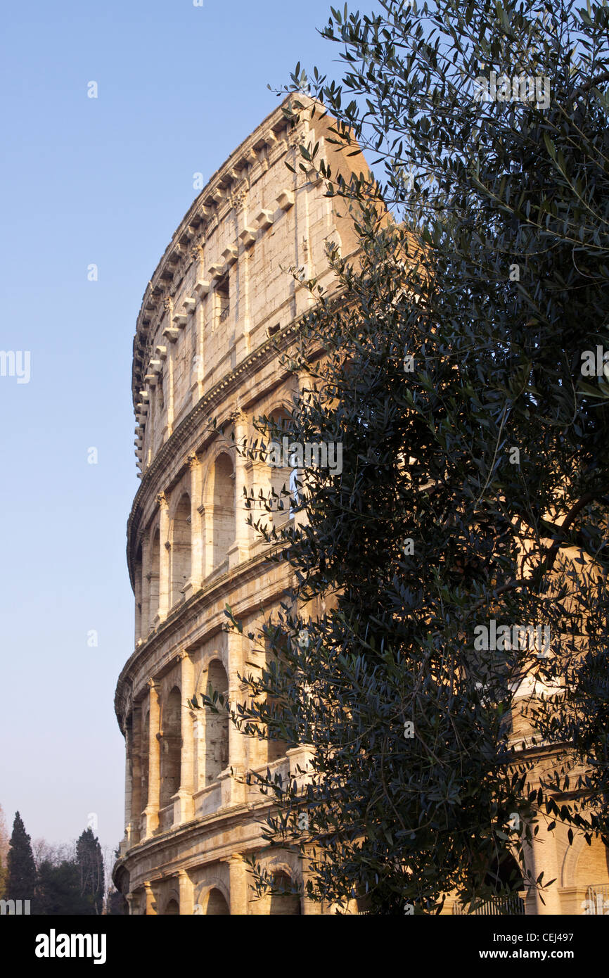 Side view of the Colosseum (Coliseum or Il Colosseo), the largest ever ...