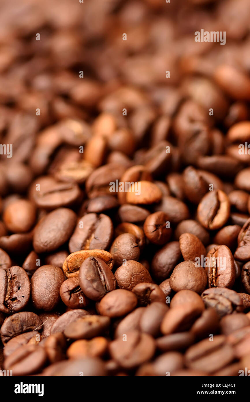 Coffee bean display hi-res stock photography and images - Alamy