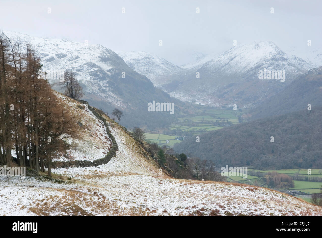 The head of Borrowdale Stock Photo - Alamy