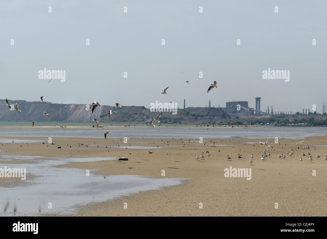 Public beach in Mariupol, Ukraine Large Azovstal factory is right near ...