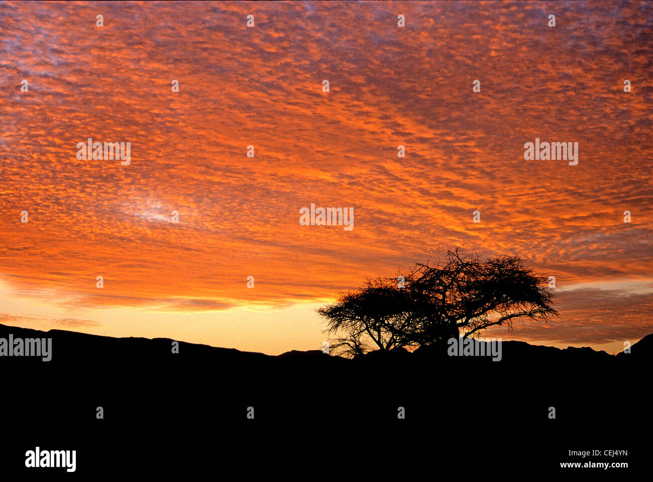 Negev desert. Eilat Mts, Israel Stock Photo - Alamy