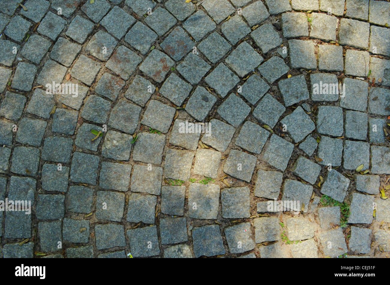 stone paved path Stock Photo - Alamy