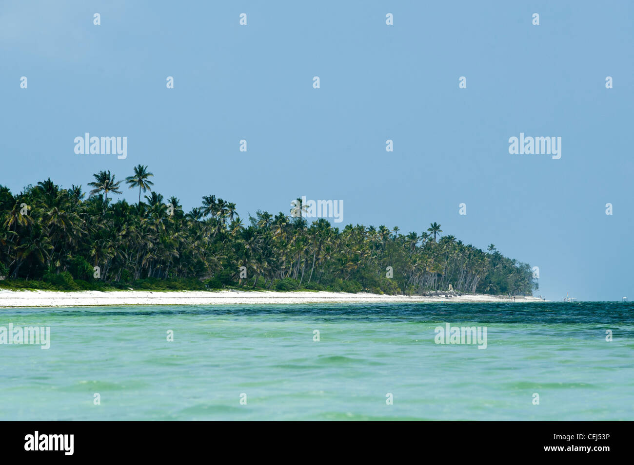 Beach in Bwejuu east coast of Zanzibar Tanzania Stock Photo - Alamy