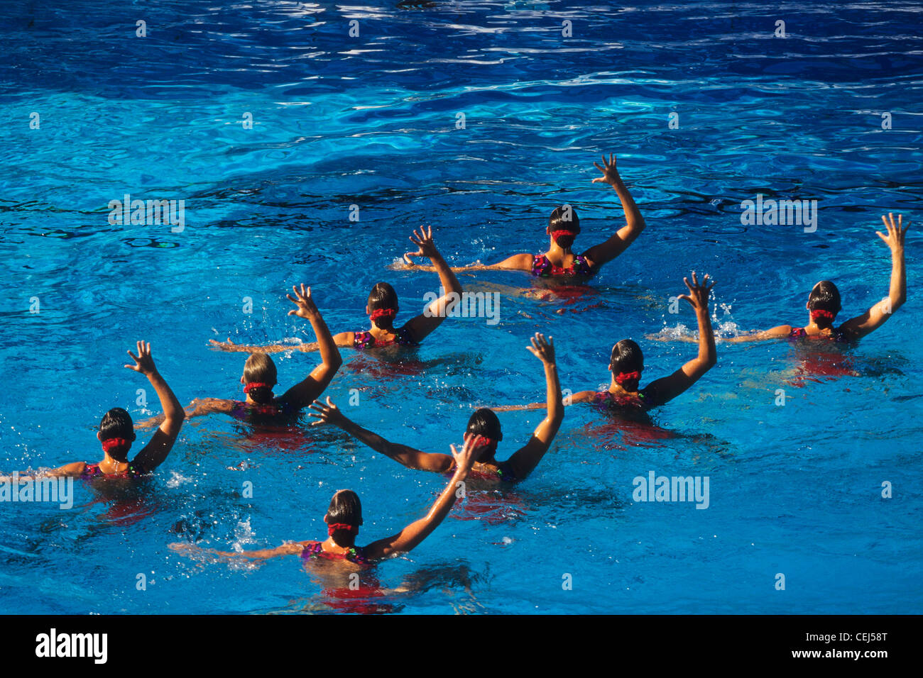 Canadian Team in the Synchronized Swimming competition at the 1994 ...