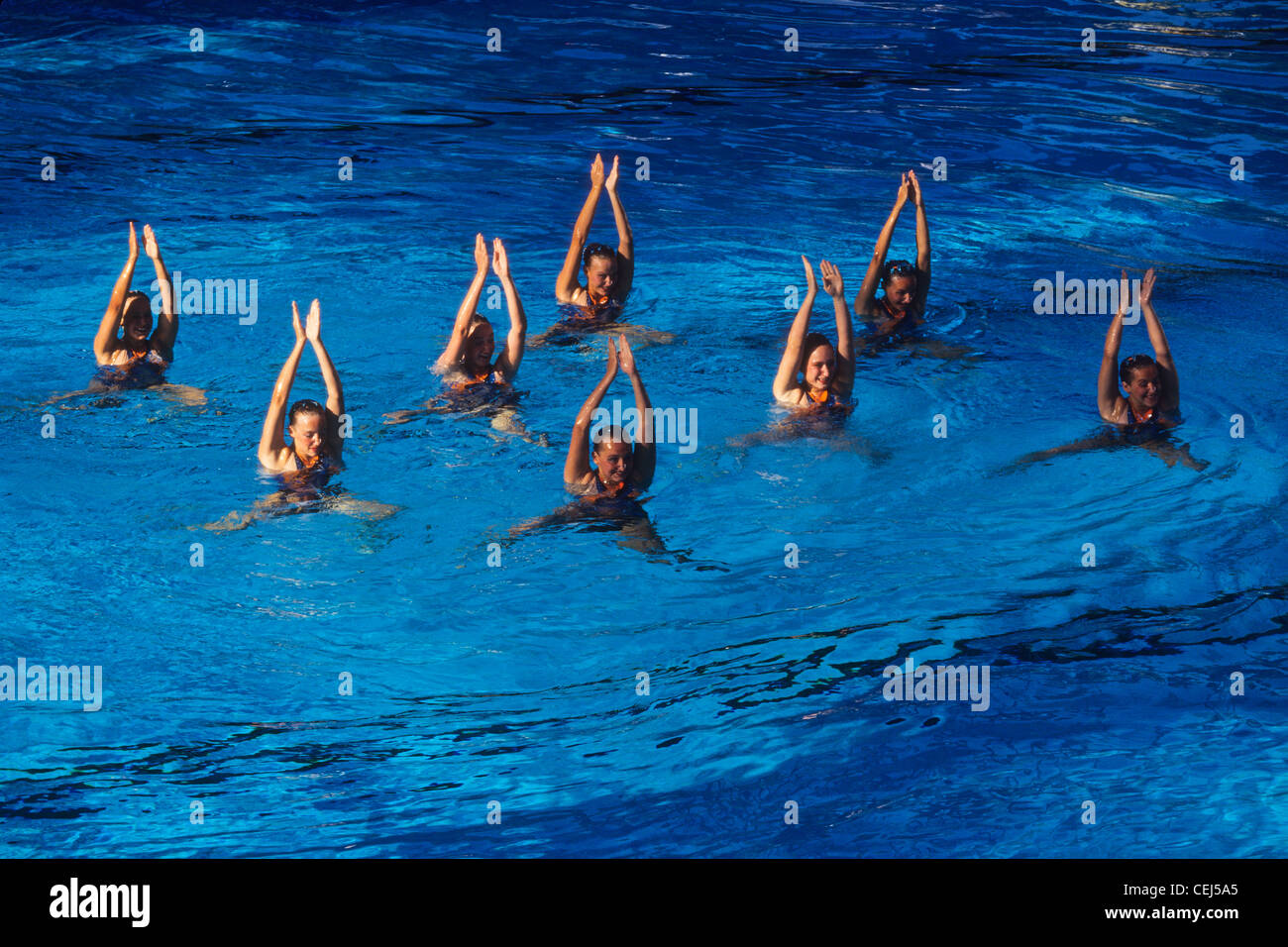 Team Synchronized Swimming competition at the 1994 World Aquatic ...