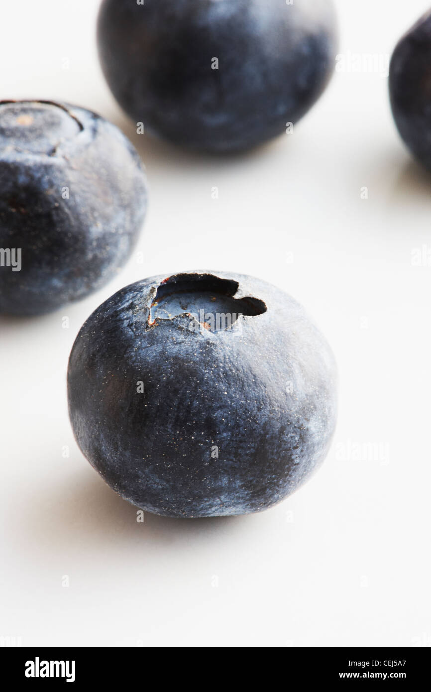 Two Blueberries on a white background Stock Photo - Alamy