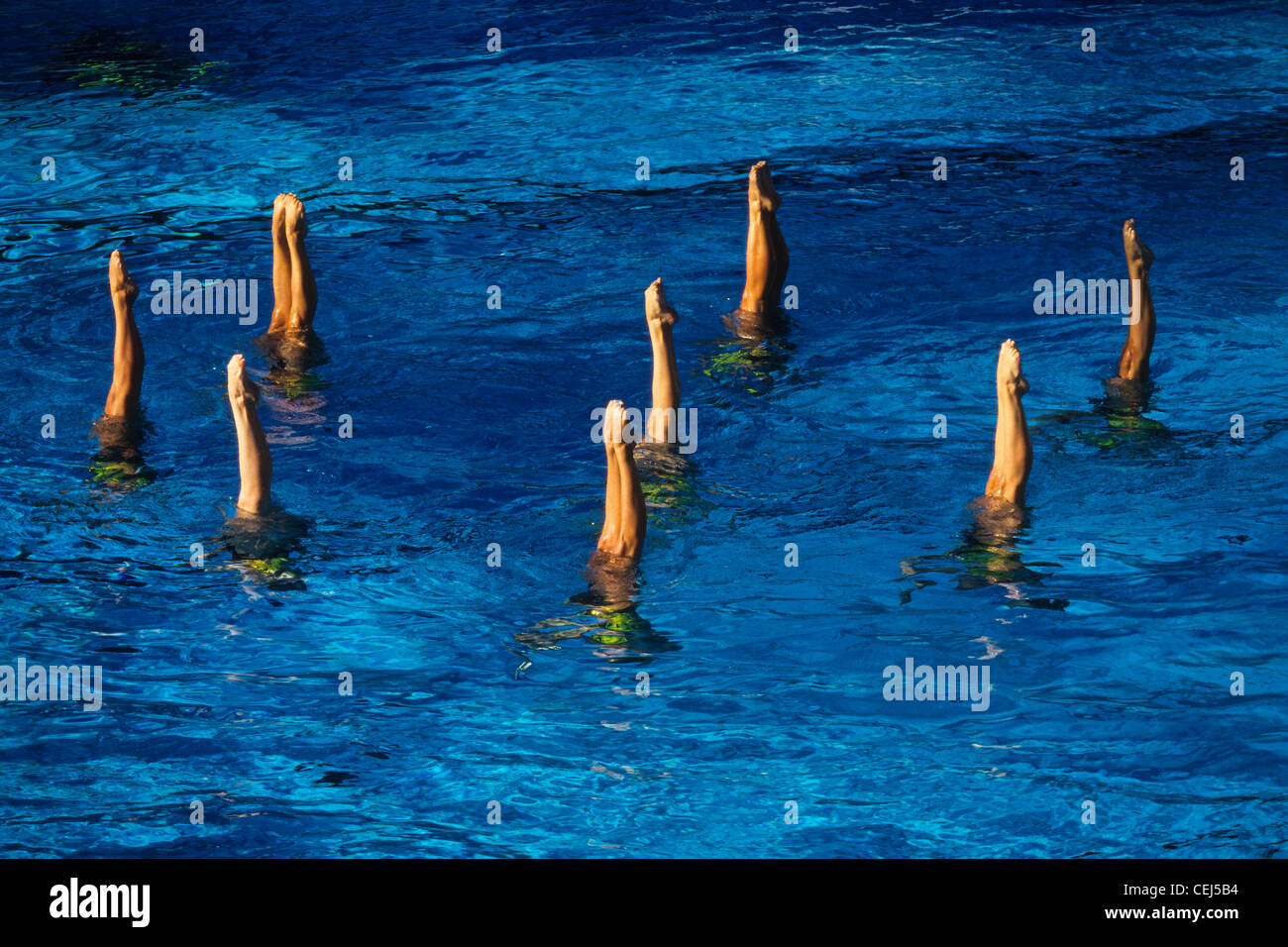 Team Synchronized Swimming competition at the 1994 World Aquatic ...