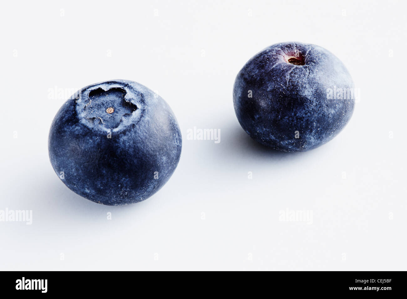 Two Blueberries on a white background Stock Photo - Alamy