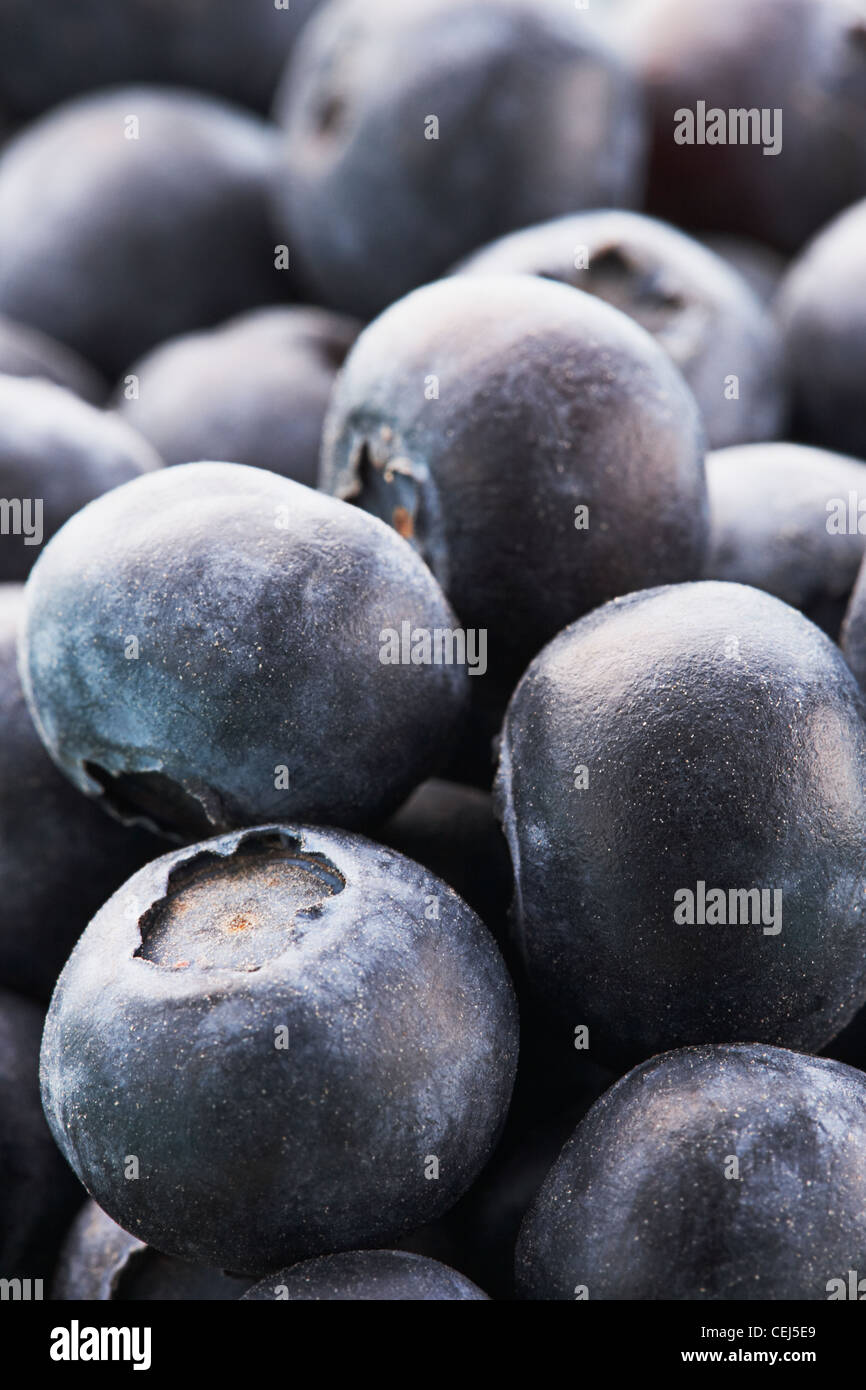 Close up of Blueberries Stock Photo - Alamy