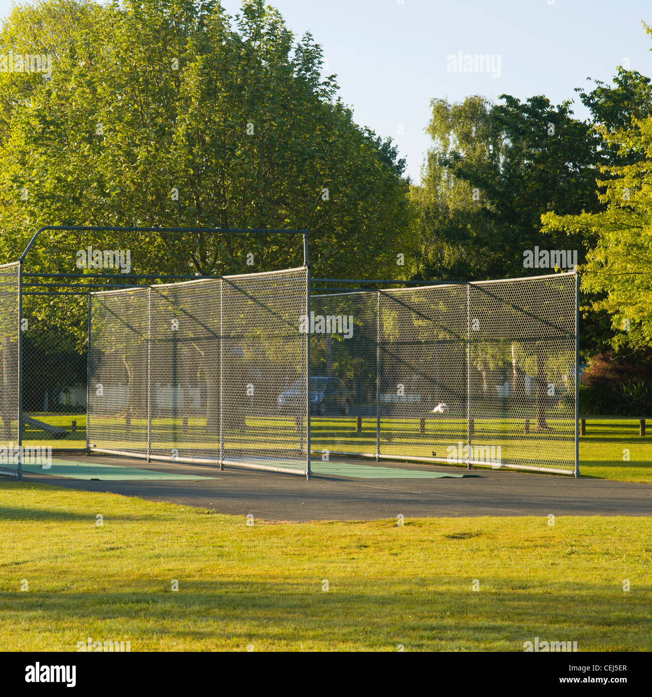 Cage cricket nets hi-res stock photography and images - Alamy