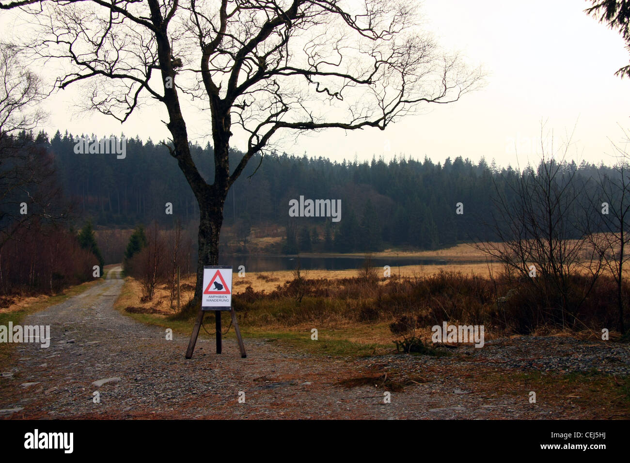 Haute fagne hi-res stock photography and images - Alamy