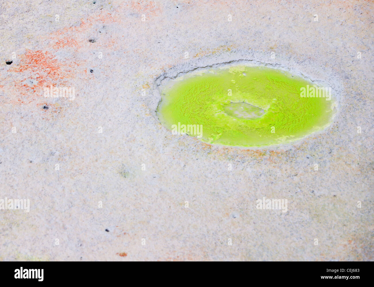 Algae slick hi-res stock photography and images - Alamy