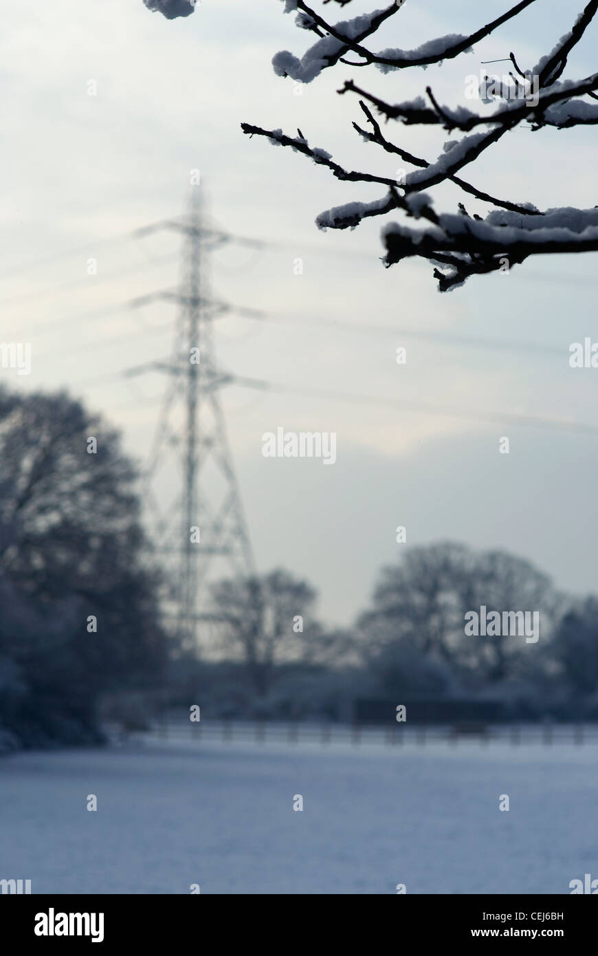 Pylons uk garden hi-res stock photography and images - Alamy